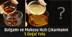 BALGAMI VE MUKUSU HIZLI ÇIKARMANIN 5 DOĞAL YOLU